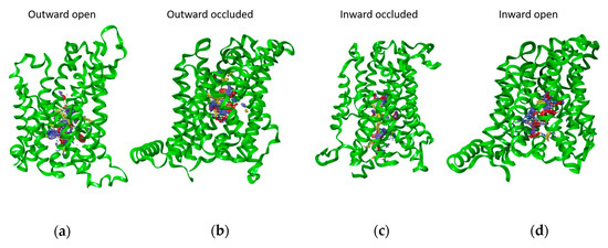 Insights into the Transport Cycle of LAT1 and Interaction with the ...