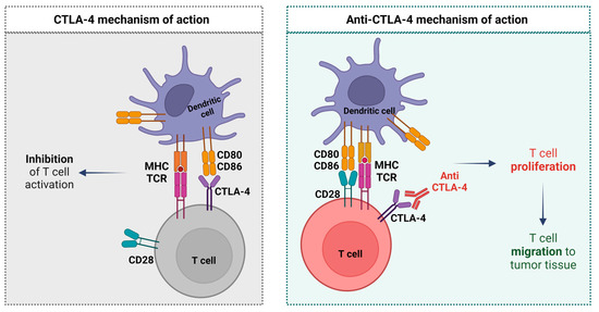 New Approaches in Early-Stage NSCL Management: Potential Use of PARP ...