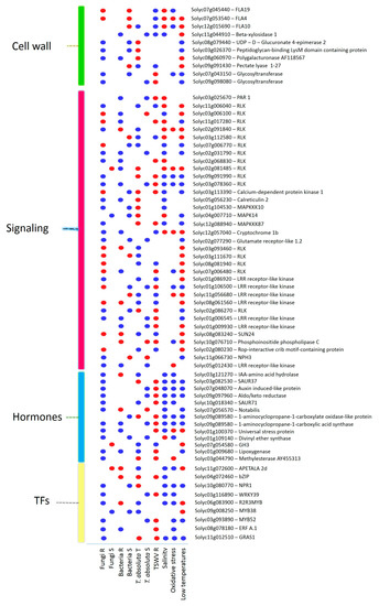 Comparison of Tomato Transcriptomic Profiles Reveals Overlapping ...