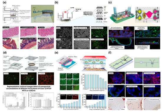 The Gut–Organ-Axis Concept: Advances the Application of Gut-on-Chip ...