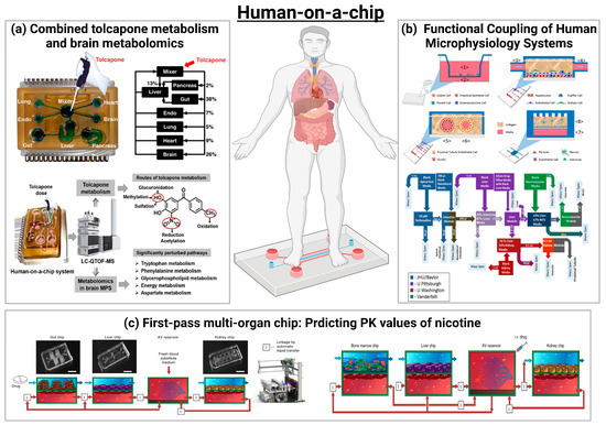 The Gut–Organ-Axis Concept: Advances the Application of Gut-on-Chip ...
