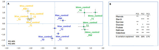 Metabolic Background, Not Photosynthetic Physiology, Determines Drought ...