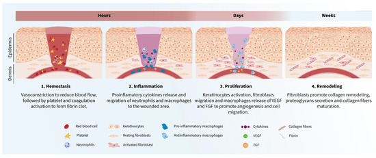 Extracellular Vesicle-Based Hydrogels for Wound Healing Applications