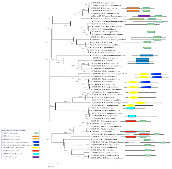 Transcriptomic and Bioinformatic Analyses Identifying a Central Mif ...
