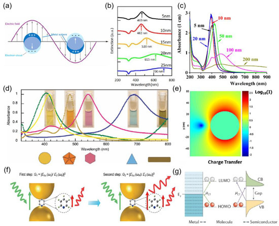 Silver-Based Surface Plasmon Sensors: Fabrication and Applications