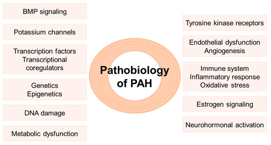 Novel Molecular Mechanisms Involved in the Medical Treatment of ...