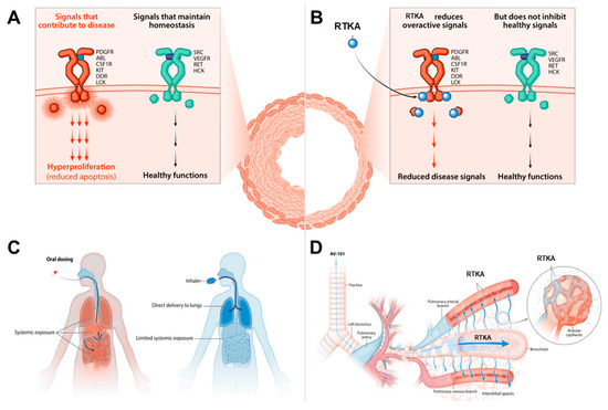 Novel Molecular Mechanisms Involved in the Medical Treatment of Pulmonary Arterial Hypertension