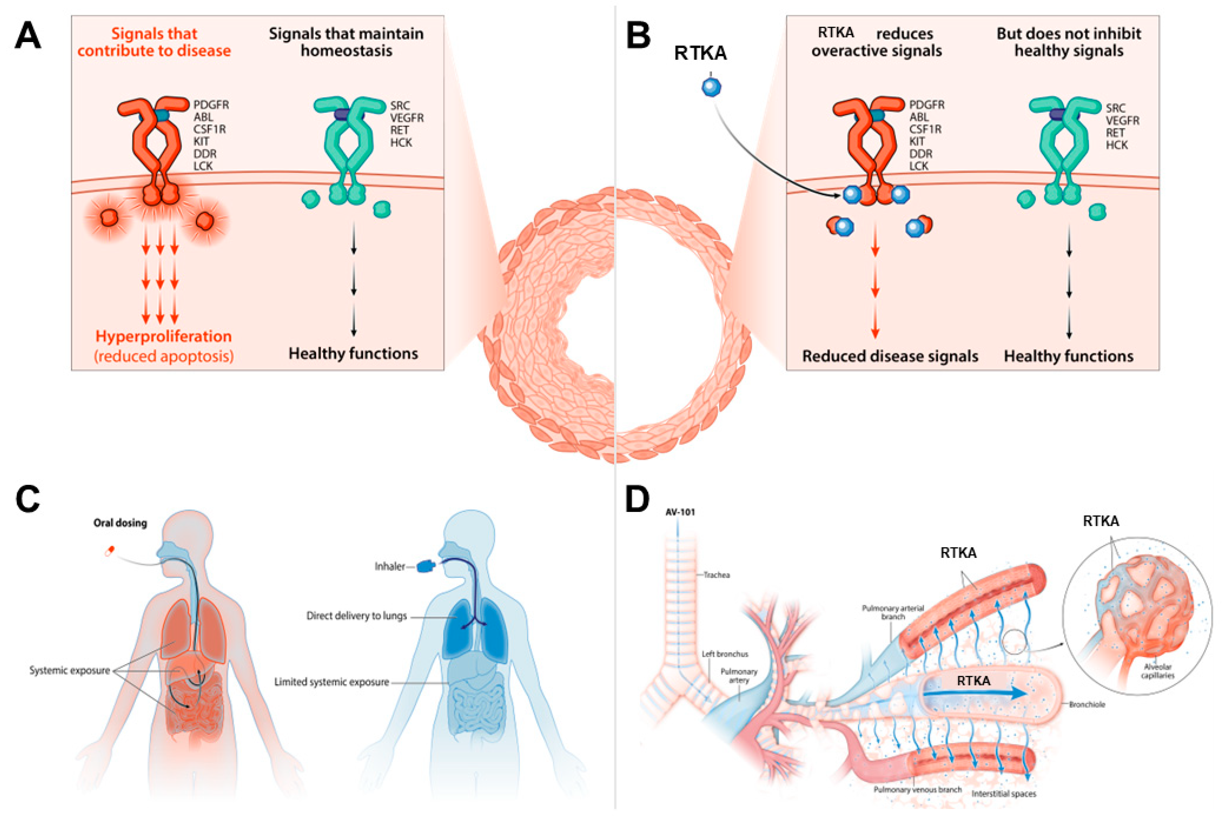 Novel Molecular Mechanisms Involved in the Medical Treatment of ...