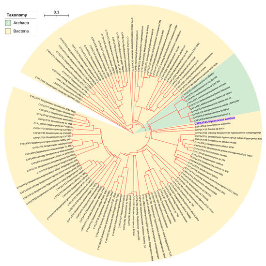 Evolution of Cytochrome P450 Enzymes and Their Redox Partners in Archaea