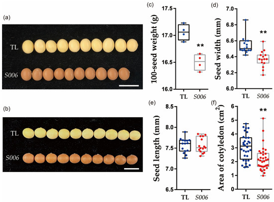 Novel Seed Size: A Novel Seed-Developing Gene in Glycine max