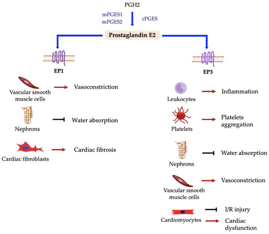 The Link between Prostanoids and Cardiovascular Diseases