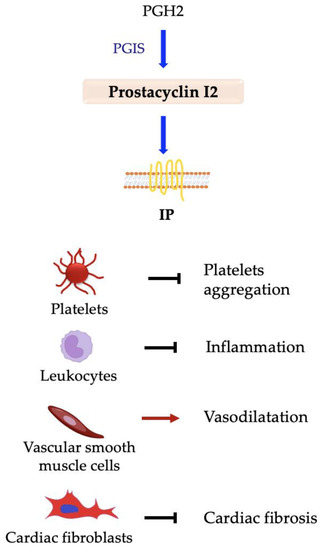 The Link between Prostanoids and Cardiovascular Diseases