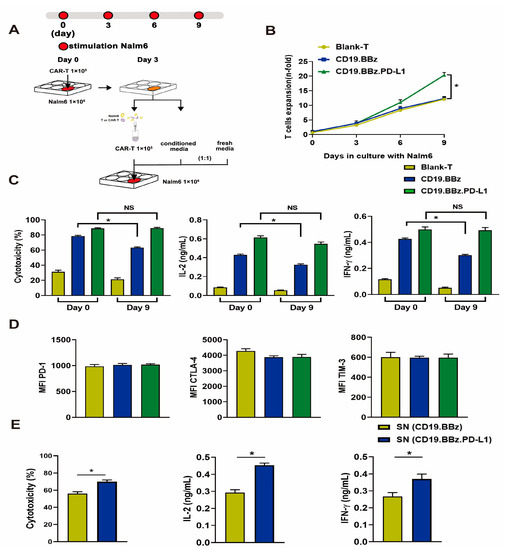 4-1BB-Based CAR T Cells Effectively Reverse Exhaustion and Enhance the Anti-Tumor Immune ...