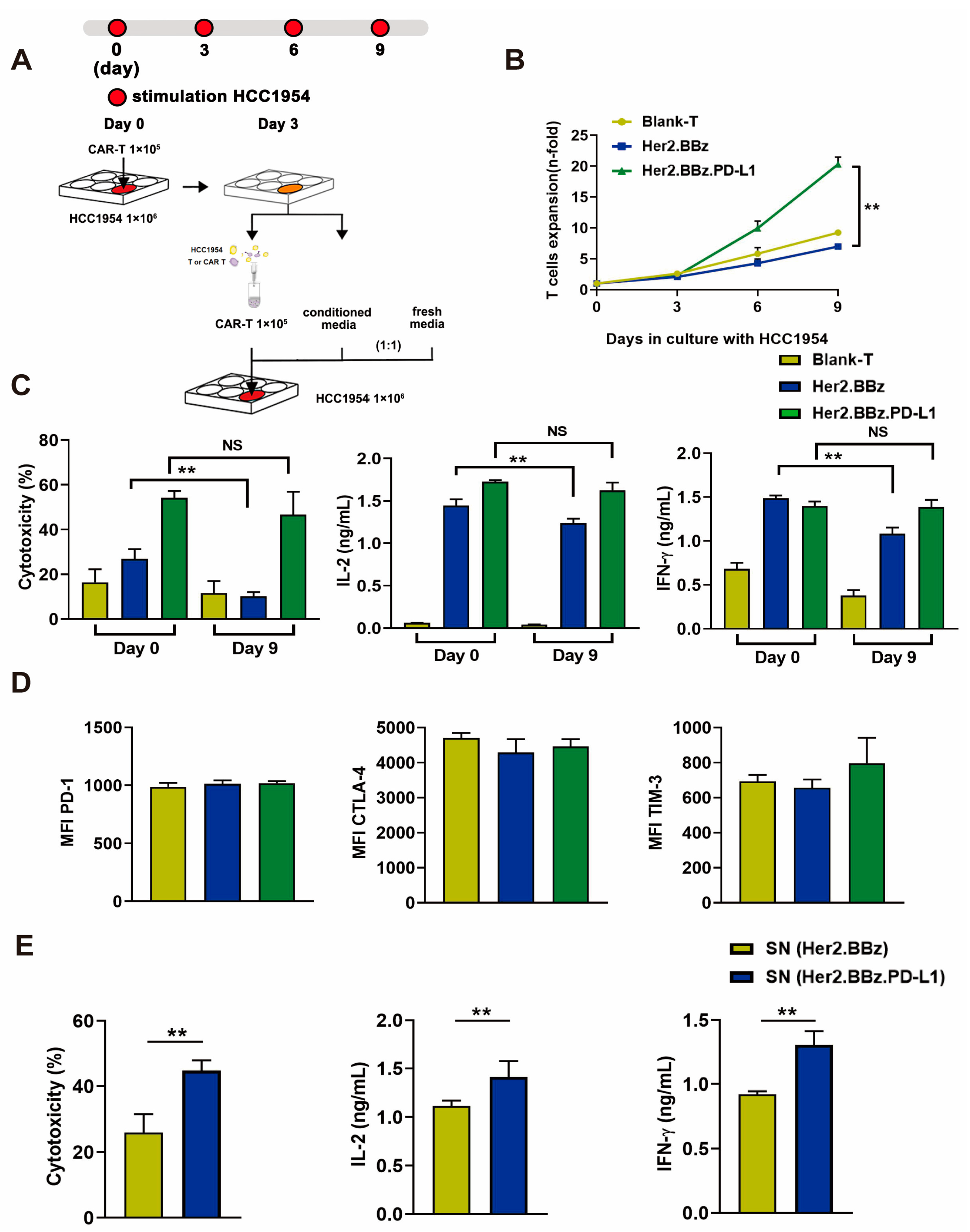 4-1BB-Based CAR T Cells Effectively Reverse Exhaustion and Enhance the ...