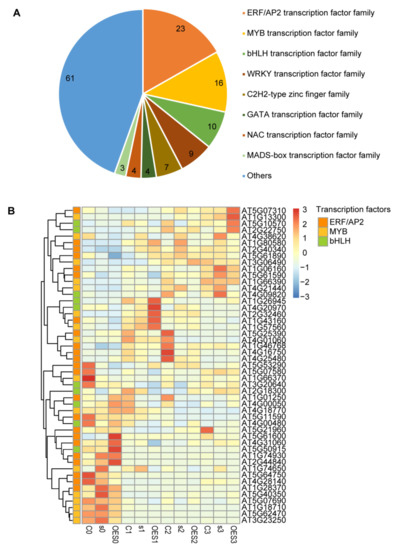 Transcriptomic Analysis Revealed Key Defense Genes and Signaling ...