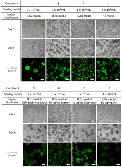 Hydrogel-Based Pre-Clinical Evaluation of Repurposed FDA-Approved Drugs ...