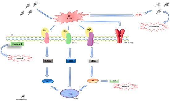 Vx-809, a CFTR Corrector, Acts through a General Mechanism of Protein ...