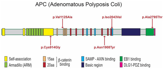 Rare Genetic Variants in Human APC Are Implicated in Mesiodens and ...