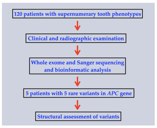 Supernumerary Teeth Chart