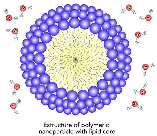 Chitosan Nanoparticles as Oral Drug Carriers