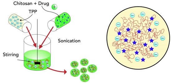 Chitosan Nanoparticles as Oral Drug Carriers