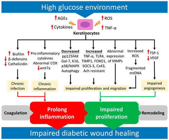 The Epidermal Keratinocyte as a Therapeutic Target for Management of ...