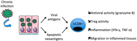 Characteristics of the (Auto)Reactive T Cells in Rheumatoid Arthritis ...
