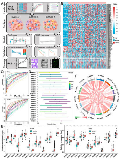 Construction of Two Independent RAB Family-Based Scoring Systems Based ...