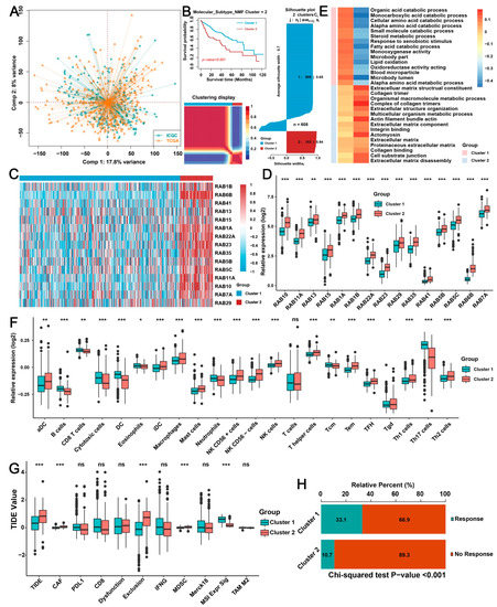 Construction of Two Independent RAB Family-Based Scoring Systems Based ...