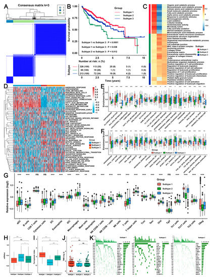 Construction of Two Independent RAB Family-Based Scoring Systems Based ...