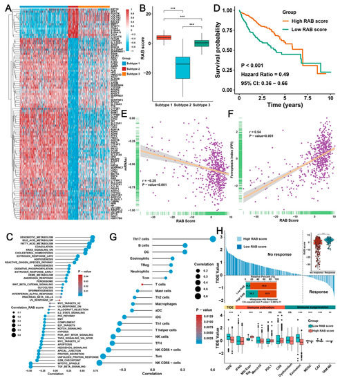 Construction of Two Independent RAB Family-Based Scoring Systems Based ...
