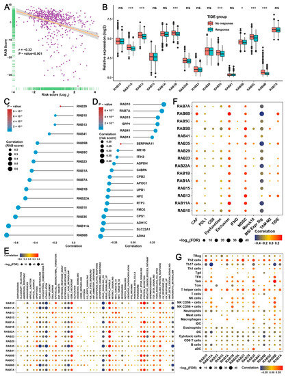 Construction of Two Independent RAB Family-Based Scoring Systems Based ...