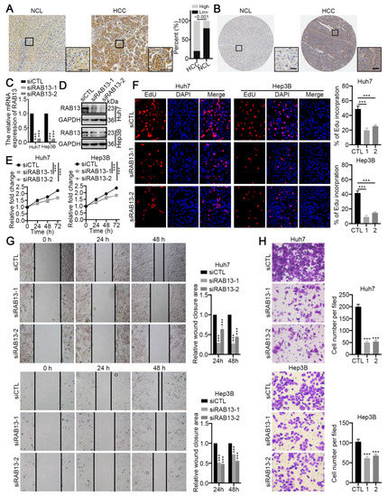 Construction of Two Independent RAB Family-Based Scoring Systems Based ...