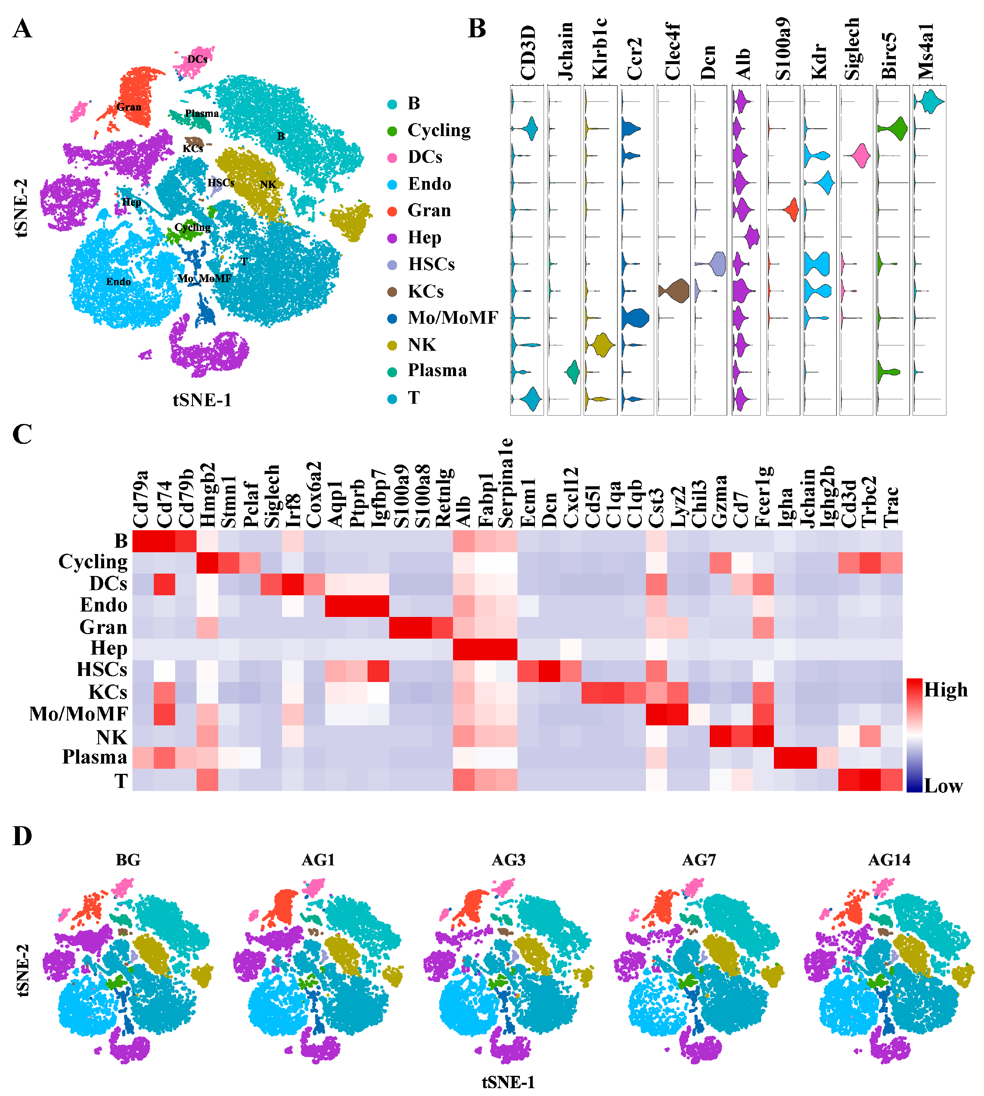 Ijms Free Full Text Single Cell Rna Transcriptome Profiling Of Liver Cells Of Short Term