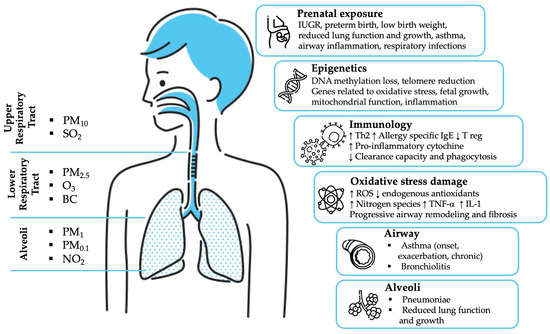 Outdoor Air Pollution and Childhood Respiratory Disease: The Role of Oxidative Stress