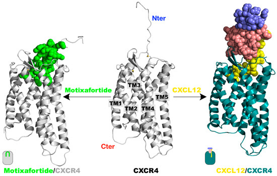Structural Basis of the Binding Mode of the Antineoplastic Compound ...