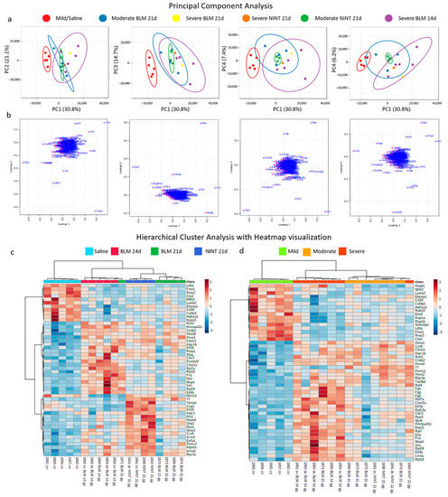 IJMS | Free Full-Text | Proteomic Fingerprint of Lung Fibrosis ...