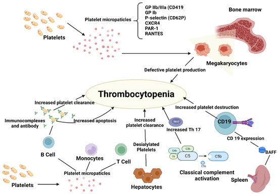 Novel Biomarkers for Diagnosis and Monitoring of Immune Thrombocytopenia