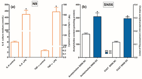 Effects of Marginal Zn Excess and Thiamine Deficiency on Microglial N9 ...