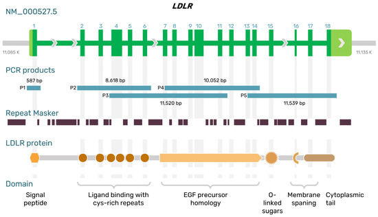 Calling and Phasing of Single-Nucleotide and Structural Variants of the ...