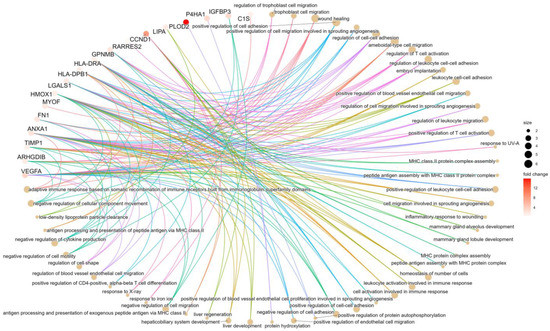 Proteotranscriptomic Discrimination of Tumor and Normal Tissues in ...