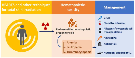 Total Skin Treatment with Helical Arc Radiotherapy