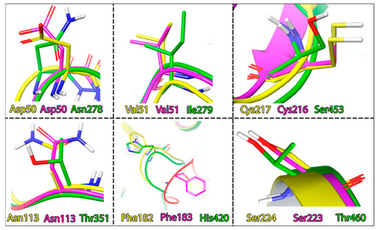 Dual PTP1B/TC-PTP Inhibitors: Biological Evaluation of 3-(Hydroxymethyl ...