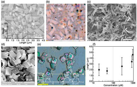 Role of Sterically Bulky Azobenzenes in the Molecular Assembly of ...