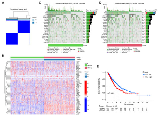 Comprehensive Analyses and Immunophenotyping of LIM Domain Family Genes ...
