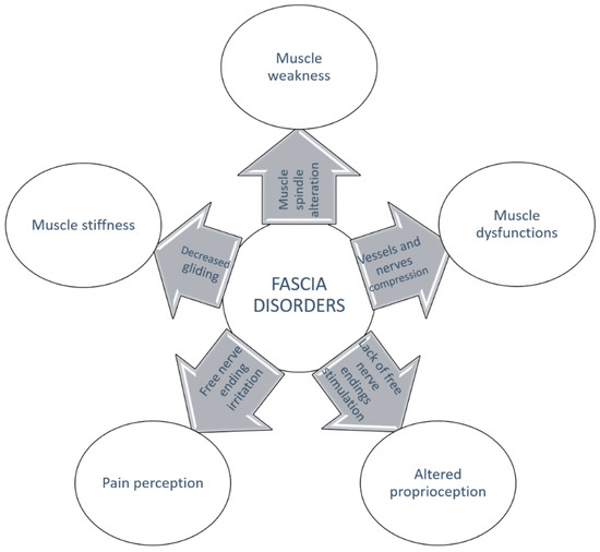 From Muscle to the Myofascial Unit: Current Evidence and Future ...