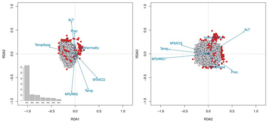Genetic Adaptation of Siberian Larch (Larix sibirica Ledeb.) to High ...