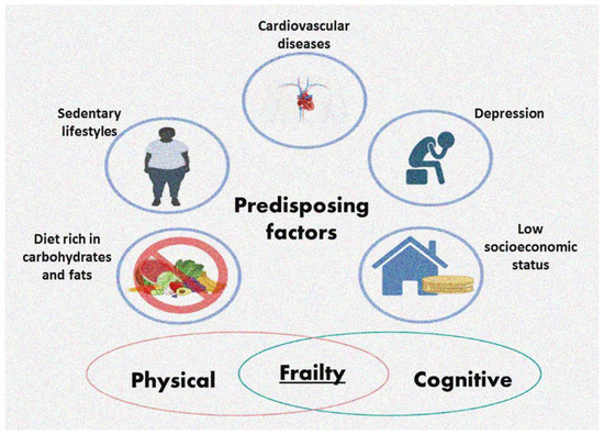 Frailty and the Interactions between Skeletal Muscle, Bone, and Adipose ...