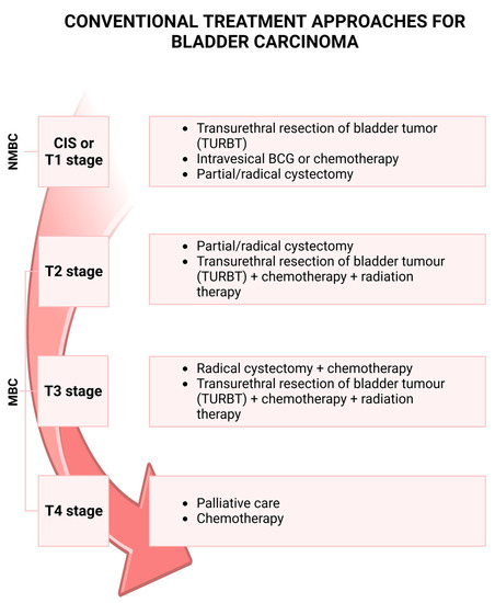 IJMS | Free Full-Text | Focus on the Use of Resveratrol in Bladder Cancer