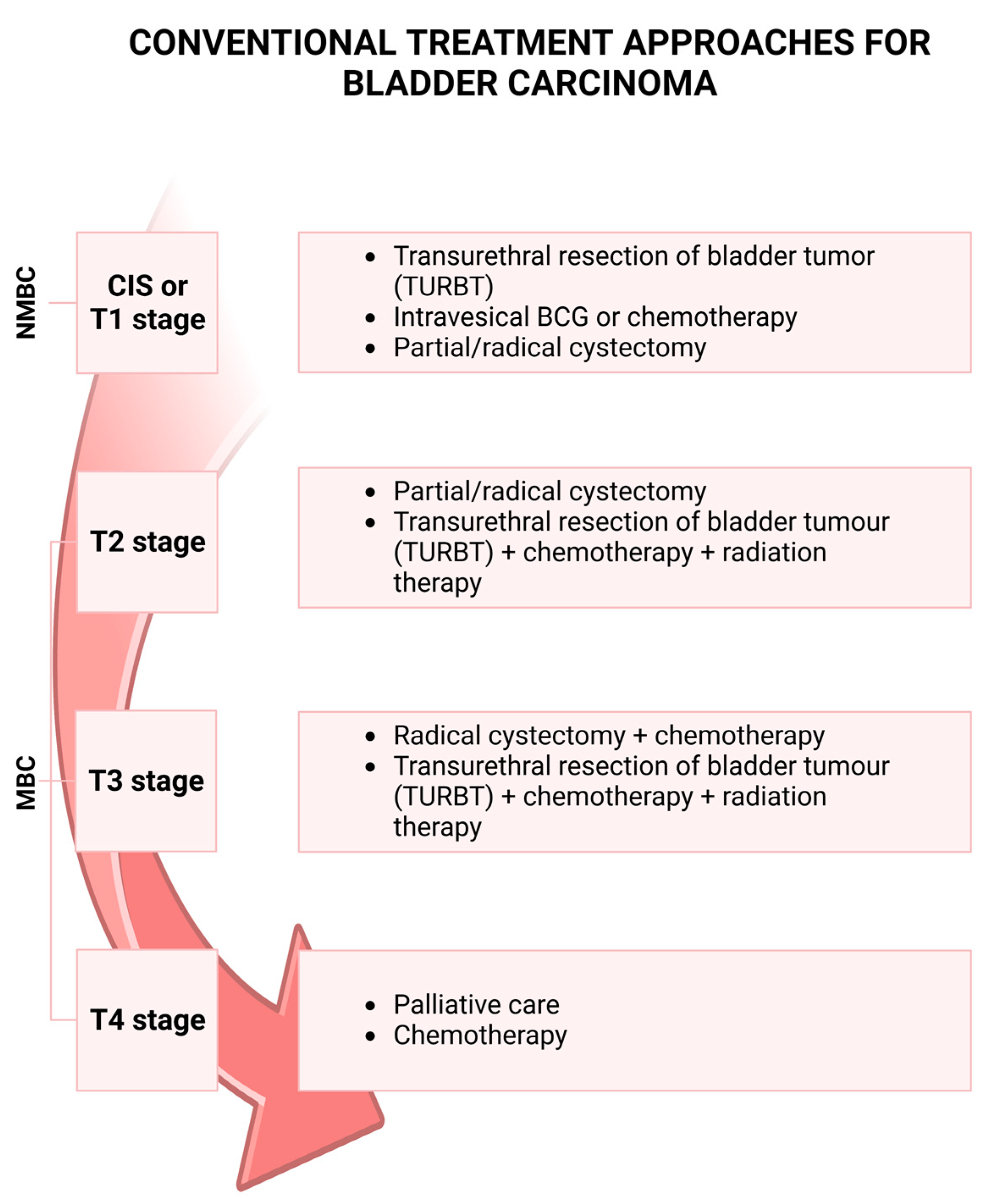 Bladder Cancer Staging